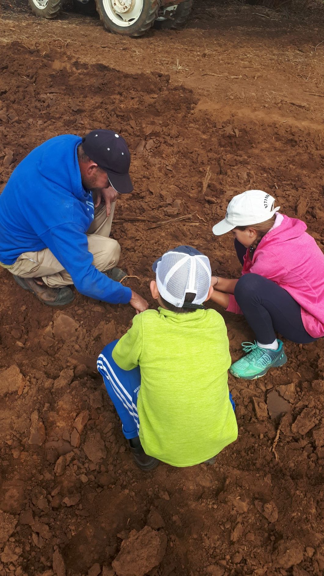 Creating Agricultural Entrepreneurs Whilst Homeschooling. - "FAITH4FUN"